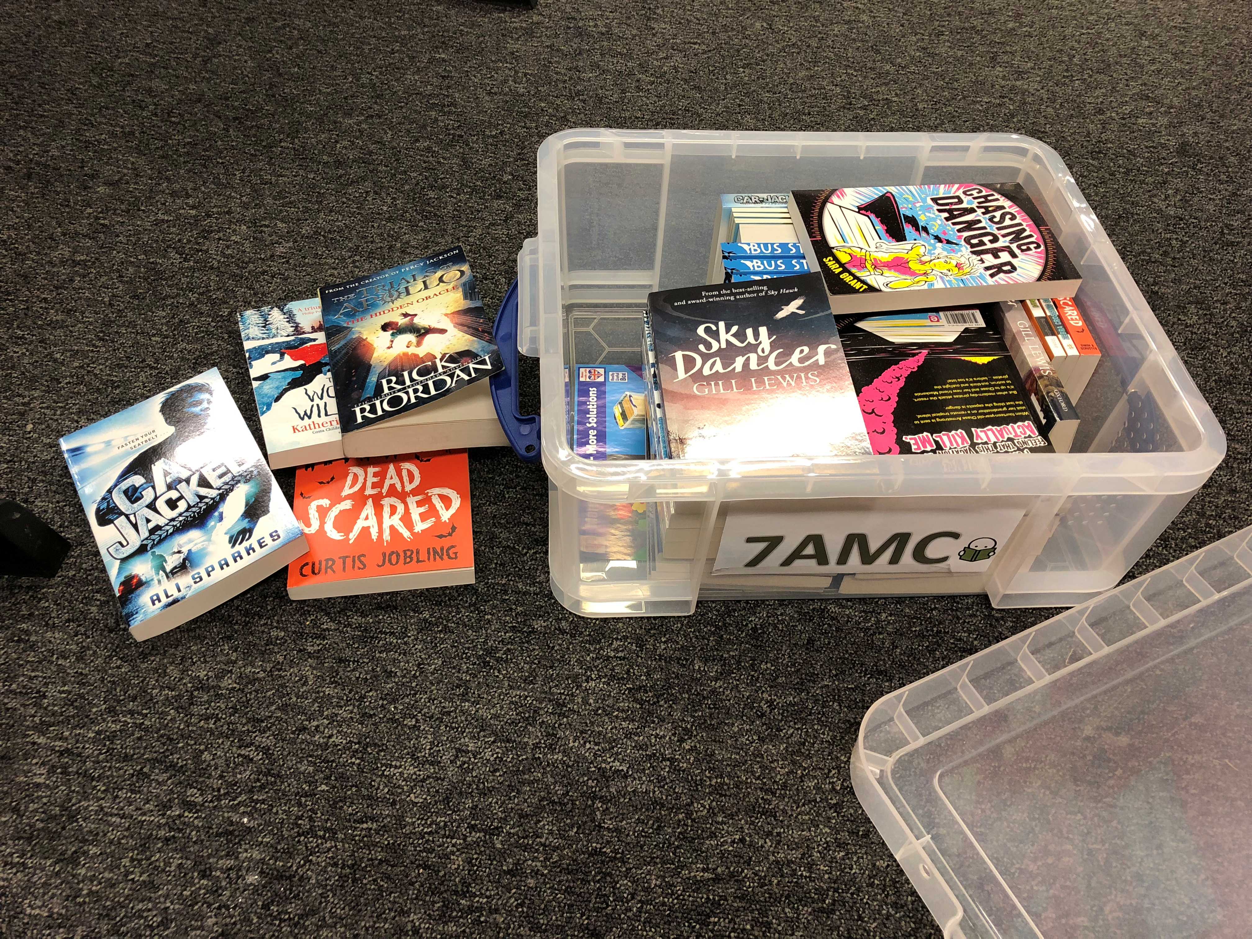 Reading Boxes - Trinity High